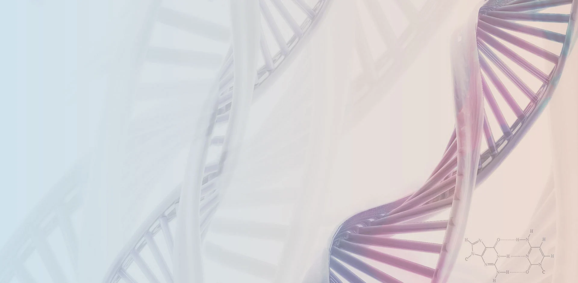 iGeneTech: Next Gen Sequencing Company, NGS Service Provider for Gene ...